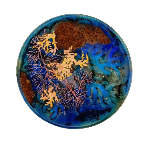 Enamelled Plate by Debbie Sheezel – Gray Reid Gallery
